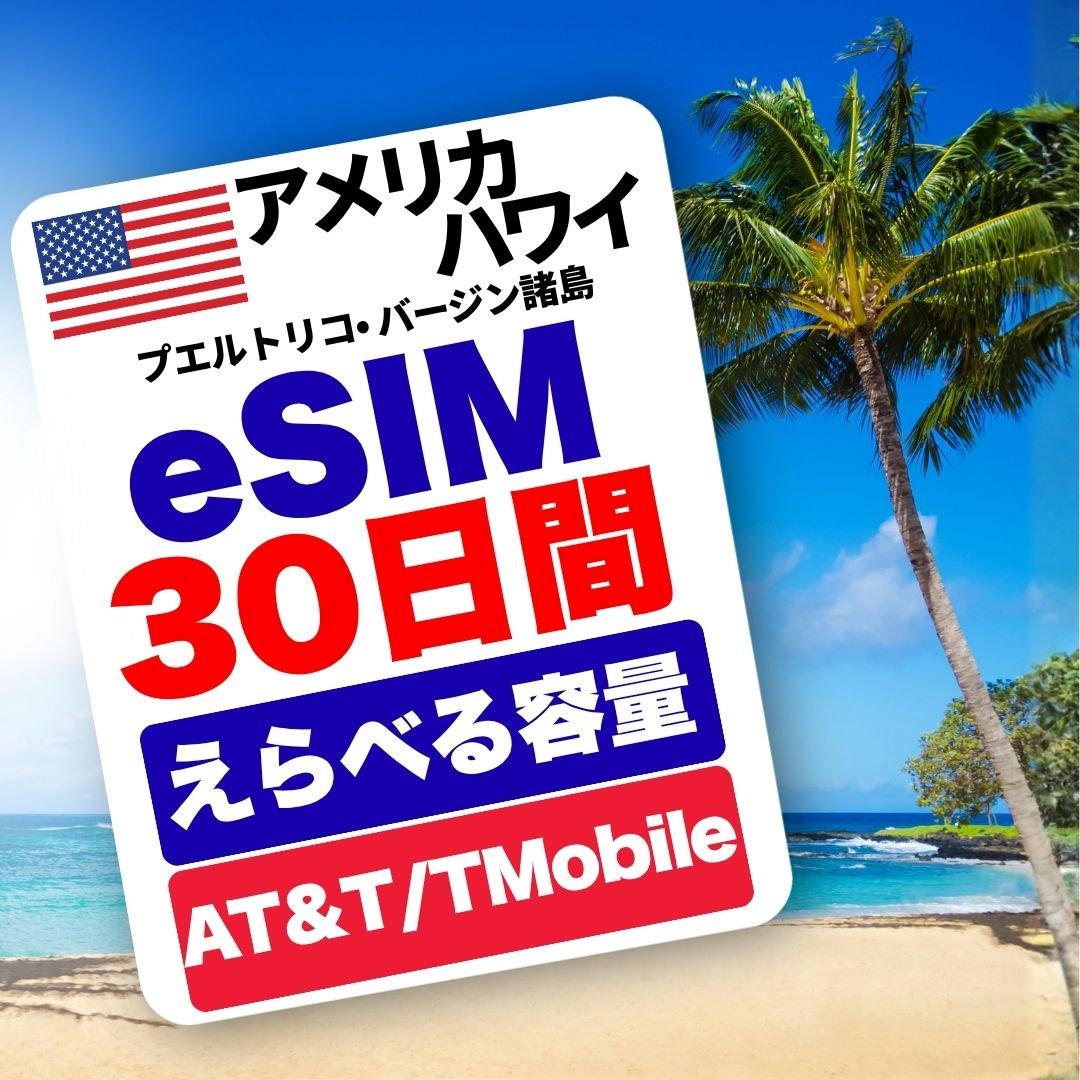 本商品はグアムに対応しておりまん。グアム対応eSIMが必要な方はこちらをご確認下さい。 🕘24時間以内にメール納品🕙　メールで納品が完了するので、お届けする荷物はありません。出張などでお急ぎの方、急な海外利用...