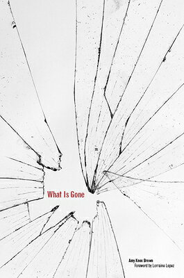 WHAT IS GONE Women, Gender, and the West Amy Knox Brown Lorraine M. Lopez TEXAS TECH UNIV PR2017 Hardcover English ISBN：...