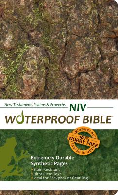 BーNIーBMPーNT WDC PSPR Bardin &. Marsee Publishing BARDIN & MARSEE PUB2012 Paperback English ISBN：9781609690007 洋書 NonーCla...