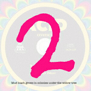 Nasca Carアシッド 2 ナスカカー 発売日：2023年06月14日 ACID 2 JAN：4580415490093 NCRー9 ナスカ・カー・レコーディングス 初回限定 (株)ディスクユニオン [Disc1] 『ACID 2』／C...