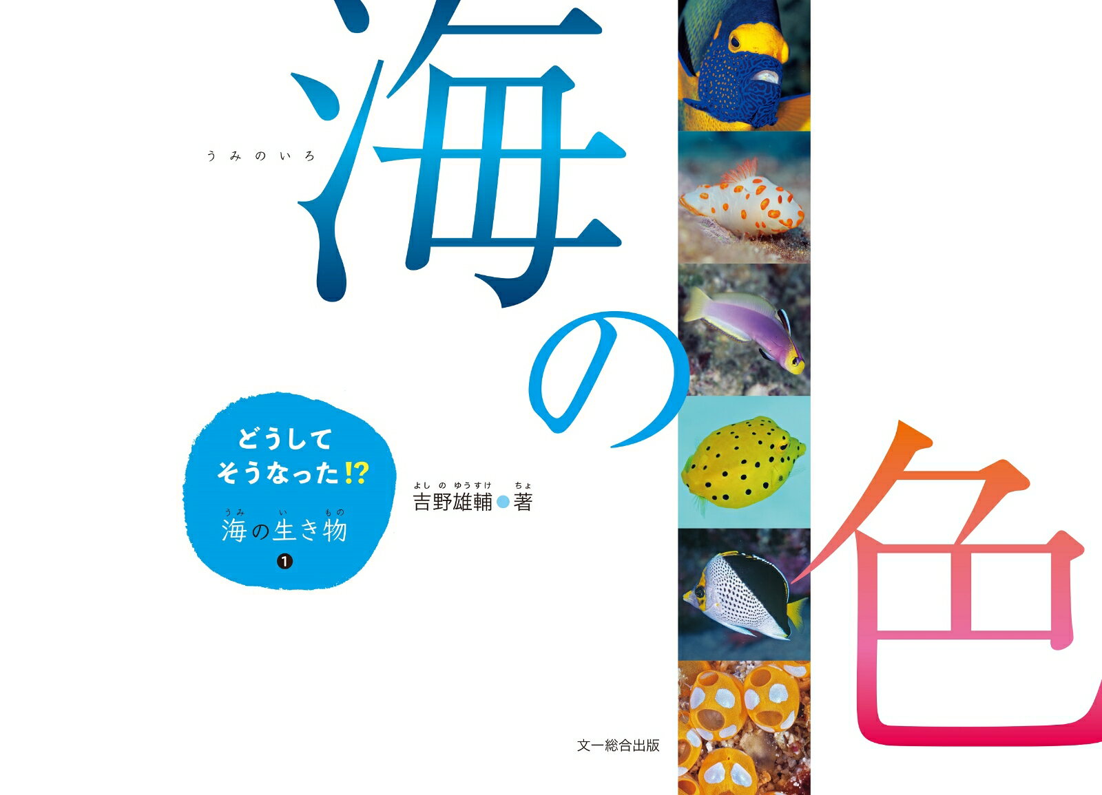 どうしてそうなった！？海の生き物　1 吉野雄輔 文一総合出版ウミノイロ ヨシノユウスケ 発行年月：2021年07月14日 予約締切日：2021年07月13日 ページ数：32p サイズ：単行本 ISBN：9784829990094 吉野雄輔（...
