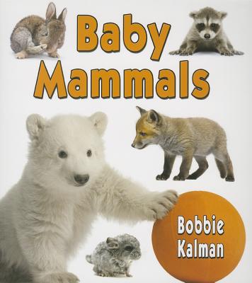 BABY MAMMALS It's Fun to Learn about Baby Animals Bobbie Kalman CRABTREE PUB2013 Paperback English ISBN：9780778710134 洋書...