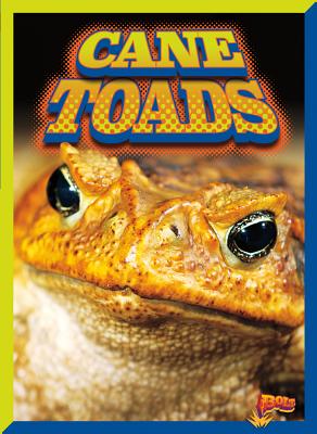 CANE TOADS Invasive Species Takeover Barbara Ciletti BOLT2017 Library　Binding English ISBN：9781680720181 洋書 Books for ki...