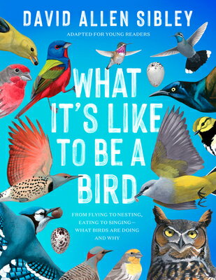 WHAT ITS LIKE TO BE A BIRD (AD David Allen Sibley DELACORTE PR2023 Hardcover English ISBN：9780593430187 洋書 Books for kid...