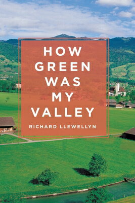 HOW GREEN WAS MY VALLEY Richard Llewellyn OPEN ROAD INTEGRATED MEDIA LLC2022 Paperback English ISBN：9780795300240 洋書 Fic...