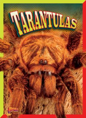 TARANTULAS Crawly Creatures Marty Gitlin BLACK RABBIT BOOKS2019 Paperback English ISBN：9781644660249 洋書 Books for kids（児...