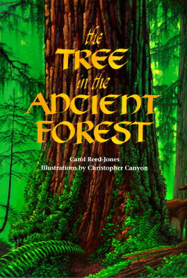 TREE IN THE ANCIENT FOREST Carol ReedーJones Christopher Canyon DAWN PUBN1995 Paperback English ISBN：9781883220310 洋書 Boo...