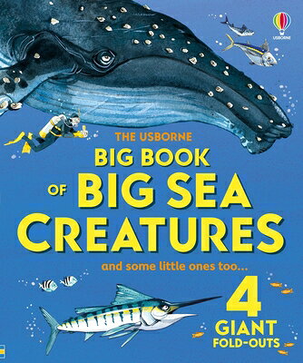 BBO BIG SEA CREATURESBIG BK Big Books Minna Lacey Fabiano Fiorin USBORNE BOOKS2025 Hardcover English ISBN：9781836050315 ...