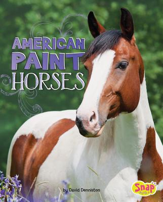 AMER PAINT HORSES Horse Breeds David Denniston CAPSTONE PR2018 Hardcover English ISBN：9781543500332 洋書 Books for kids（児童...