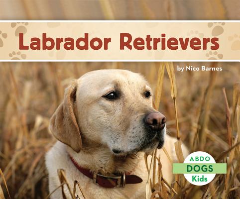 LABRADOR RETRIEVERS Dogs Set 1 Nico Barnes ABDO KIDS2014 Library　Binding English ISBN：9781629700335 洋書 Books for kids（児童...