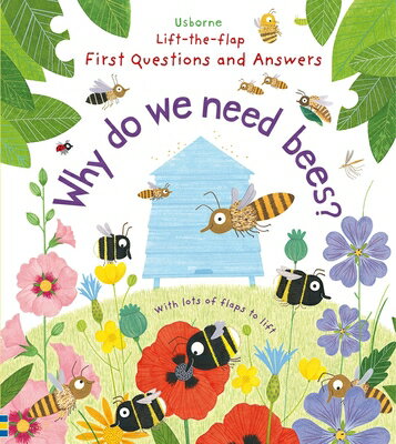 1ST QUES & ANSW WHY DO WE NEED First Questions and Answers Katie Daynes Christine Pym USBORNE BOOKS2023 Board　Books Engl...