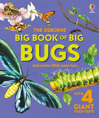 BBO BIG BUGSBIG BK Big Books Emily Bone Fabiano Fiorin USBORNE BOOKS2025 Hardcover English ISBN：9781836050346 洋書 Books f...