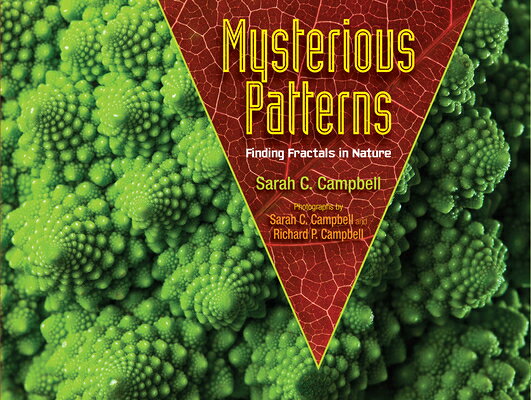 MYSTERIOUS PATTERNS Sarah C. Campbell Richard P. Campbell ASTRA HOUSE2023 Paperback English ISBN：9781662620416 洋書 Books ...