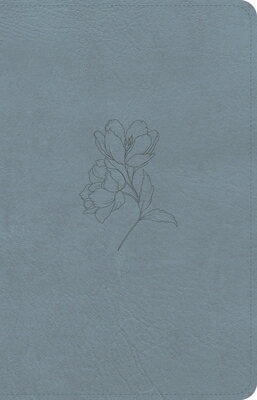 CSB PERSONAL SIZE BIBLE DIGITA Csb Bibles by Holman HOLMAN A J2026 Imitation　Leather Digital Study English ISBN：97983845...