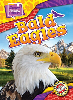 BALD EAGLES The Ultimate Animal Library Janie Scheffer BLASTOFF READERS2024 Library　Binding English ISBN：9798886870442 洋...