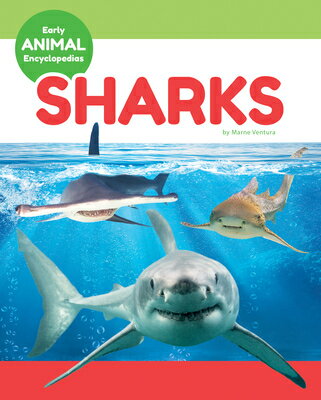 SHARKS Early Animal Encyclopedias Marne Ventura EARLY ENCYCLOPEDIAS2022 Library　Binding English ISBN：9781098290443 洋書 Bo...