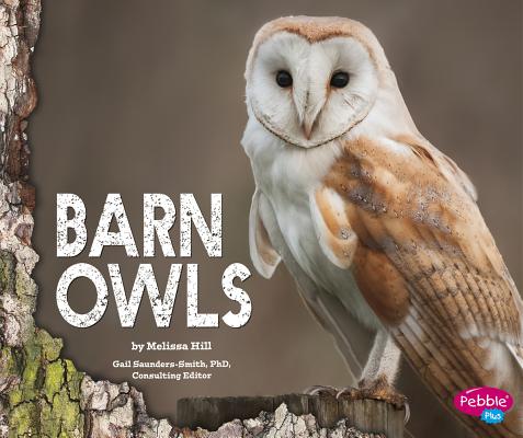 BARN OWLS Owls Gail SaundersーSmith Melissa Hill CAPSTONE PR2015 Hardcover English ISBN：9781491460450 洋書 Books for kids（児...