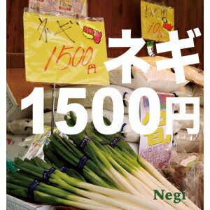 Negiネギセンゴヒャクエン ネギ 発売日：2015年08月04日 予約締切日：2015年07月31日 NEGI 1500 YEN JAN：4580344150457 TECDー1016 タートルエンタテイメント (株)アドニス・スクウェア...