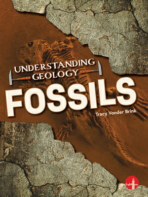 FOSSILS Tracy Vonder Brink LIGHTHOUSE2023 Paperback English ISBN：9798887350462 洋書 Books for kids（児童書） Juvenile Nonfiction