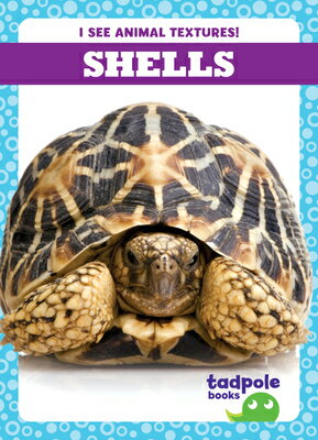 SHELLS I See Animal Textures! Jenna Lee Gleisner TADPOLE BOOKS2023 Library　Binding English ISBN：9798885240475 洋書 Books f...