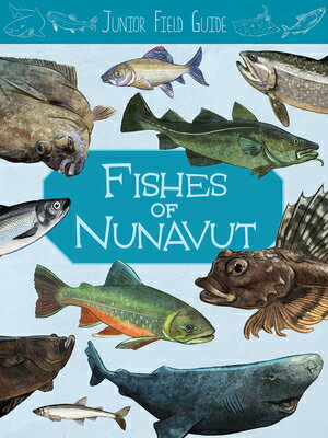 JR FIELD GD FISHES OF NUNAVUT Junior Field Guides Jordan Hoffman ARVAAQ PR2021 Paperback English English ISBN：9781774500...