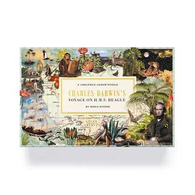 VOYAGE OF HMS BEAGLE Maria Rivans SKITTLEDOG2024 Other English ISBN：9781837760534 洋書 Family life & Comics（生活＆コミック） Games