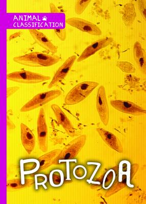 PROTOZOA Animal Classification Joanna Brundle KIDHAVEN K 122019 Paperback English ISBN：9781534530539 洋書 Books for kids（児...
