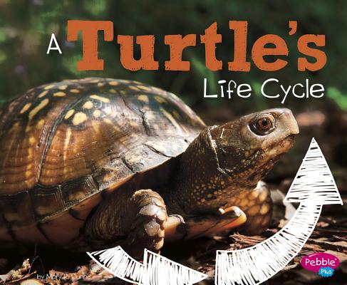 TURTLES LIFE CYCLE Explore Life Cycles Mary R. Dunn CAPSTONE PR2017 Hardcover English ISBN：9781515770541 洋書 Books for ki...