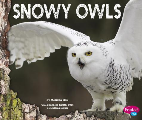 SNOWY OWLS Owls Gail SaundersーSmith Melissa Hill CAPSTONE PR2015 Paperback English ISBN：9781491460542 洋書 Books for kids（...