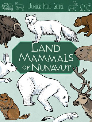 JR FIELD GD LAND MAMMALS ENGLI Junior Field Guides Jordan Hoffman Lenny Lishchenko ARVAAQ PR2021 Paperback English Engli...