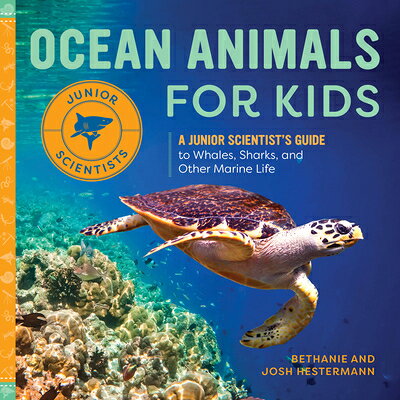 OCEAN ANIMALS FOR KIDS Junior Scientists Bethanie Hestermann Josh Hestermann ROCKRIDGE PR2021 Paperback English ISBN：978...
