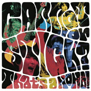 That's a NO NO!【newnavi_api20th】 キャロット オア スティック ザッツアノーノー 発売日：2015年04月22日 予約締切日：2015年04月18日 CARROT OR STICK? JAN：45601918...