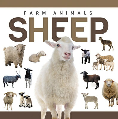 SHEEP Eliza Nodes NORTH STAR KIDS2026 Library　Binding English ISBN：9798894710587 洋書 Books for kids（児童書） Juvenile Nonfiction