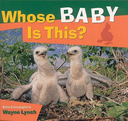 WHOSE BABY IS THIS Whose? Wayne Lynch WHITECAP BOOKS2011 Paperback English ISBN：9781552850640 洋書 Books for kids（児童書） Juv...