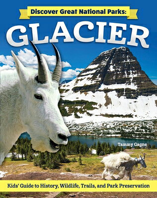 DISCOVER GRT NATL PARKS GLACIE Tammy Gagne CURIOUS FOX BOOKS2024 Paperback English ISBN：9798890940643 洋書 Books for kids（...