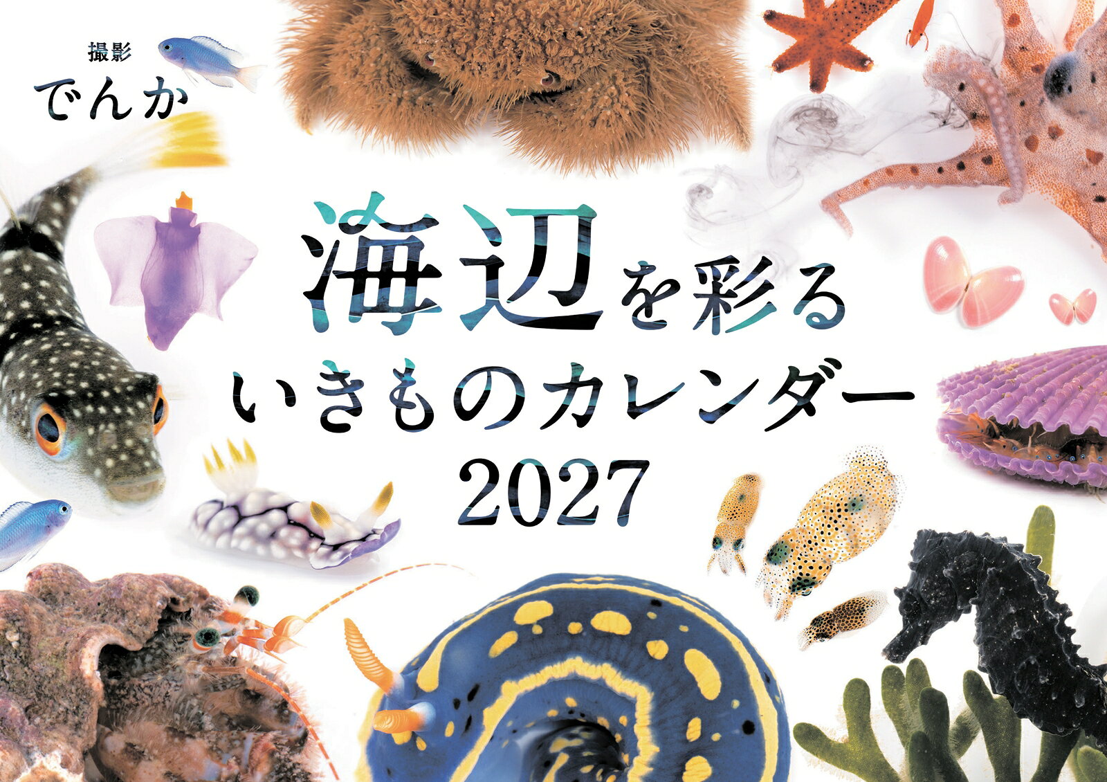 でんか 緑書房ウミベヲイロドルイキモノカレンダー ニセンニジュウナナ デンカ 発行年月：2026年09月10日 予約締切日：2026年07月23日 ページ数：28p サイズ：単行本 ISBN：9784868110743 本 カレンダー・手帳...