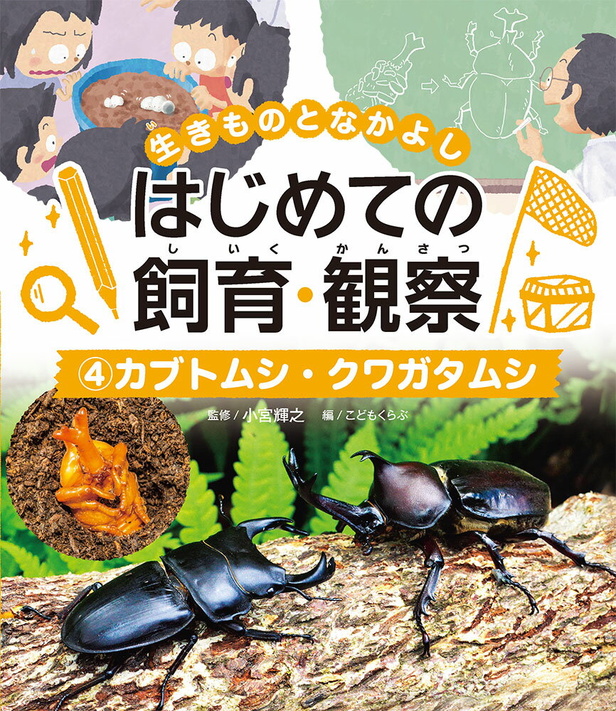 生きものとなかよし　はじめての飼育・観察　4 小宮　輝之 こどもくらぶ ポプラ社カブトムシクワガタムシ コミヤテルユキ コドモクラブ 発行年月：2024年04月03日 予約締切日：2024年04月02日 ページ数：31p サイズ：単行本 I...