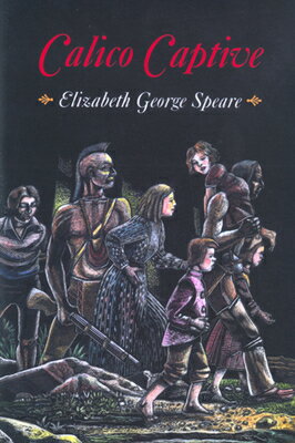 CALICO CAPTIVE Elizabeth George Speare HOUGHTON MIFFLIN2001 Paperback English ISBN：9780618150762 洋書 Books for kids（児童書） ...