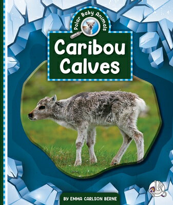 CARIBOU CALVES Polar Baby Animals Emma Carlson Berne WONDER PUBL2025 Library　Binding English ISBN：9781503870826 洋書 Books...