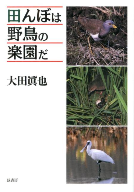 大田眞也 弦書房タンボ ワ ヤチョウ ノ ラクエン ダ オオタ,シンヤ 発行年月：2012年12月 予約締切日：2024年12月17日 ページ数：266p サイズ：単行本 ISBN：9784863290839 大田眞也（オオタシンヤ） 19...