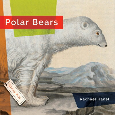 POLAR BEARS Rachael Hanel CREATIVE ED & PAPERBACKS2023 Paperback English ISBN：9781682770863 洋書 Books for kids（児童書） Juven...