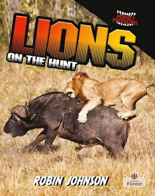 LIONS ON THE HUNT Perfect Predators Robin Johnson CRABTREE FOREST2025 Hardcover English ISBN：9781039880887 洋書 Books for ...