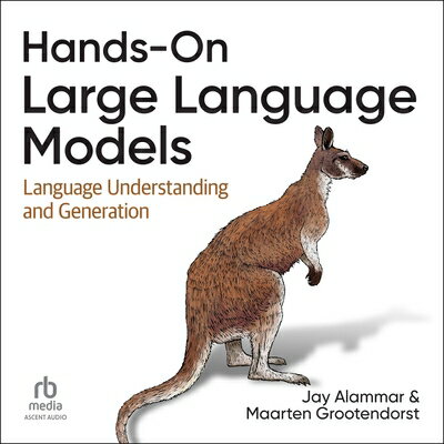 HANDSーON LARGE LANGUAGE MODE D Jay Alammar Maarten Grootendorst Derek Shoales ASCENT AUDIO2025 Compact　Disc English ISBN...