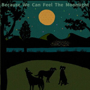 ビコーズ・ウィ・キャン・フィール・ザ・ムーンライトビコーズ ウィ キャン フィール ザ ムーンライト ビコーズウィキャンフィールザムーンライト 発売日：2023年11月10日 予約締切日：2023年11月06日 BECAUSE WE CAN...