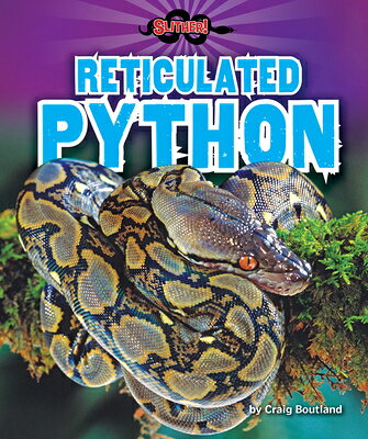RETICULATED PYTHON Slither! Craig Boutland BEARPORT PUB CO INC2020 Library　Binding English ISBN：9781647470975 洋書 Books f...