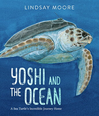 YOSHI & THE OCEAN Lindsay Moore Lindsay Moore GREENWILLOW2022 Hardcover English ISBN：9780063060982 洋書 Books for kids（児童書...