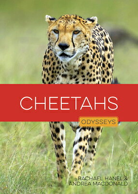 CHEETAHS Odysseys in the Wild Rachael Hanel Andrea MacDonald CREATIVE ED & PAPERBACKS2026 Paperback English ISBN：9798896...