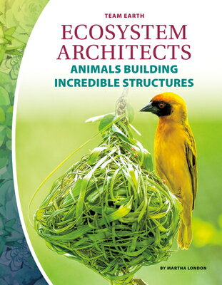 ECOSYSTEM ARCHITECTS ANIMALS B Team Earth Martha London ABDO & DAUGHTERS2019 Library　Binding English ISBN：9781532190995 ...