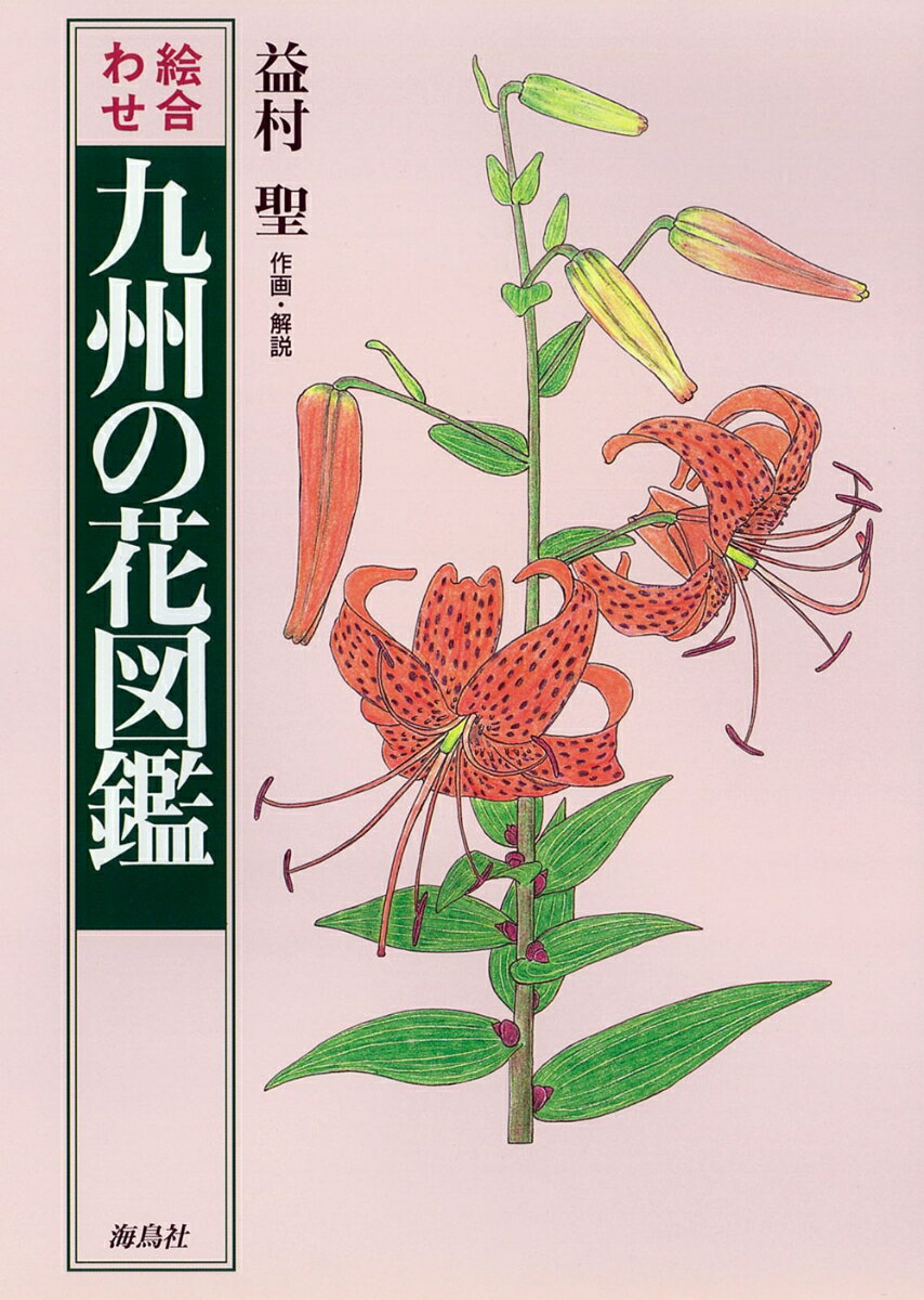 絵合わせ 益村 聖 海鳥社キュウシュウ ノ ハナ ズカン マスムラ サトシ 発行年月：1995年01月15日 予約締切日：1995年01月14日 ページ数：608p サイズ：図鑑 ISBN：9784874151020 植物学上の分類ではなく...