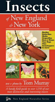 INSECTS OF NEW ENGLAND & NEW Y Naturalist Tom Murray KOLLATH STENSAAS PUB2012 Paperback English ISBN：9781936571024 洋書 Co...